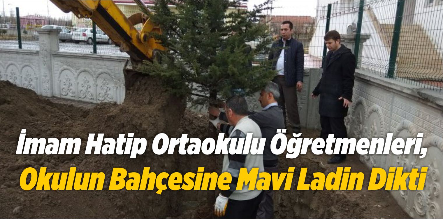 İmam Hatip Ortaokulu Öğretmenleri, Okulun Bahçesine Mavi Ladin Dikti